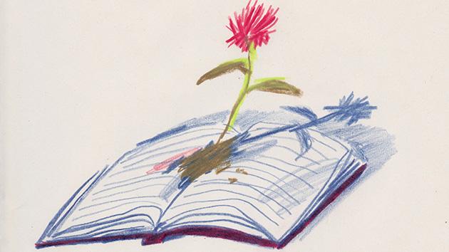 British Council Nature Writing Seminar With Robert Macfarlane British